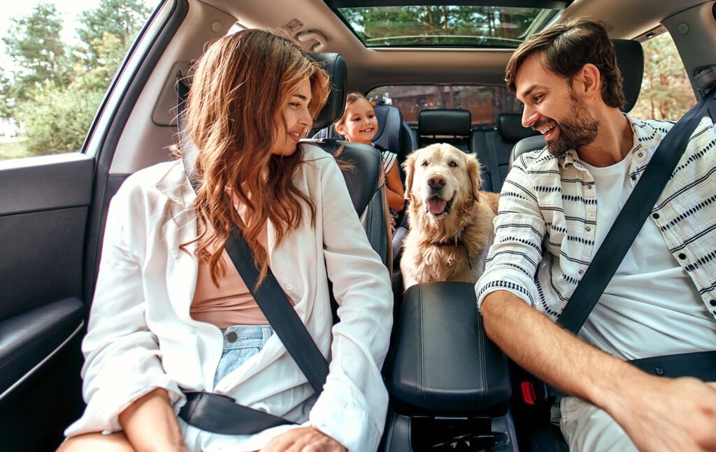 Wippy | How it works