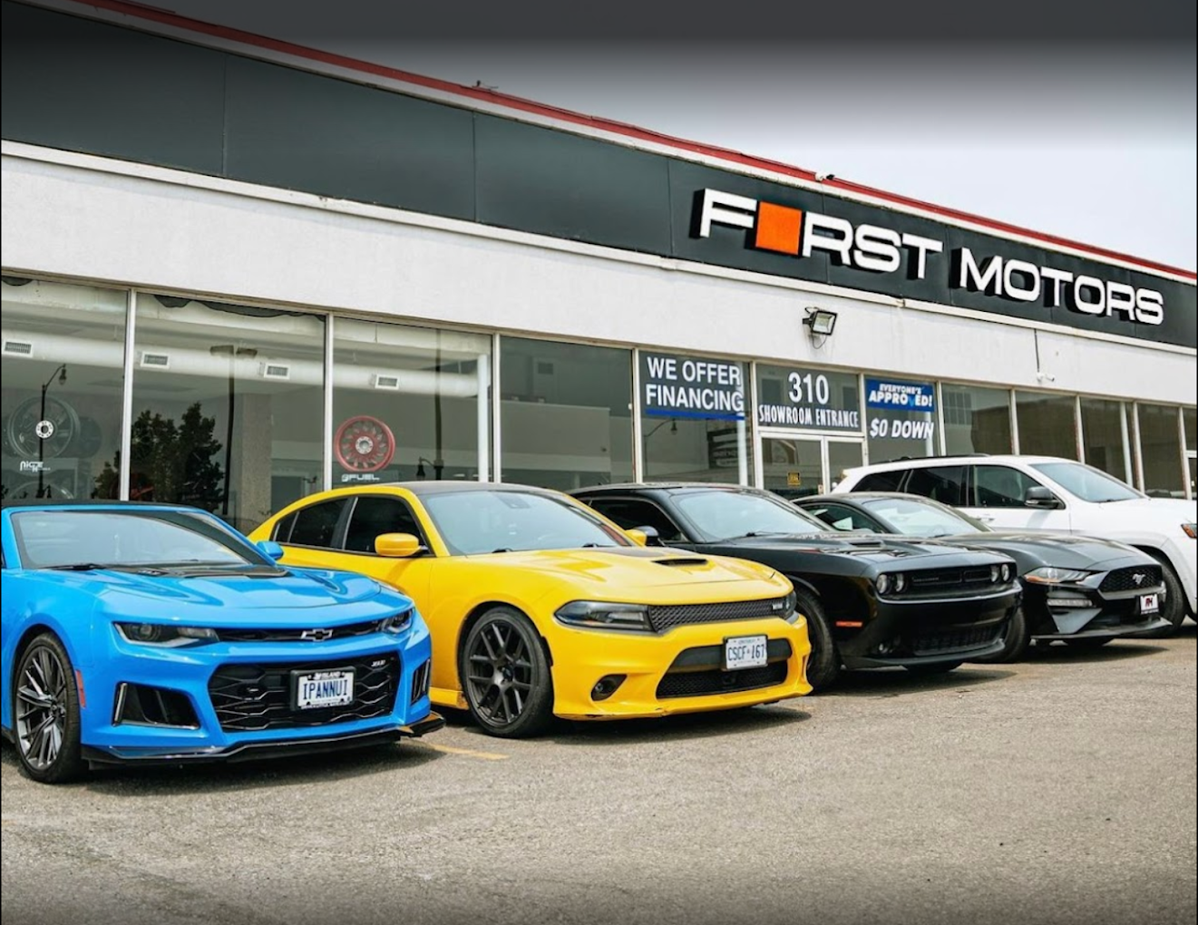 Wippy | First Motors